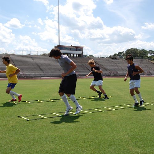World Sport 30 Foot Flat Rung Agility Ladder (Breaks Down to Two 15 ...